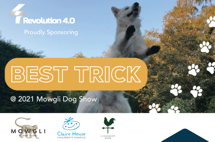 Revolution Four to sponsor Mowgli Trust Dog Show | Whitfield Business Hub
